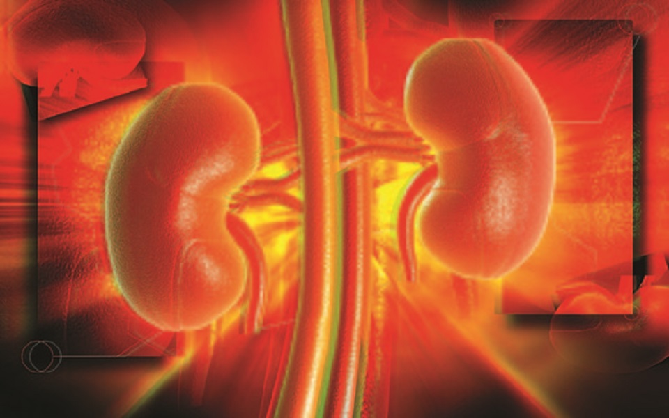 De ce este considerată boala cronică de rinichi un "ucigaș silențios ...