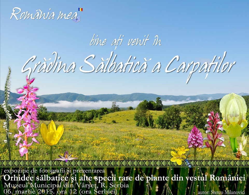 Orhidee sălbatică și alte specii rare de plante din vestul țării, într ...